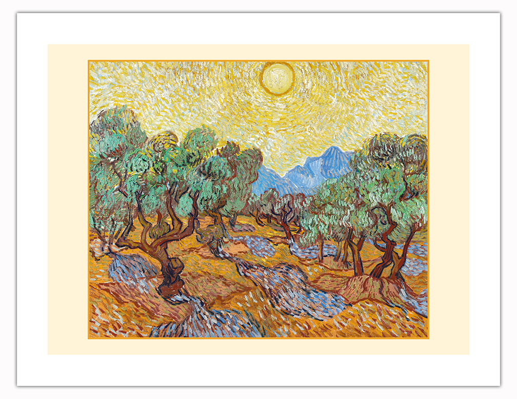 The Olive Trees - From an Original Color Painting by Vincent van Gogh c ...