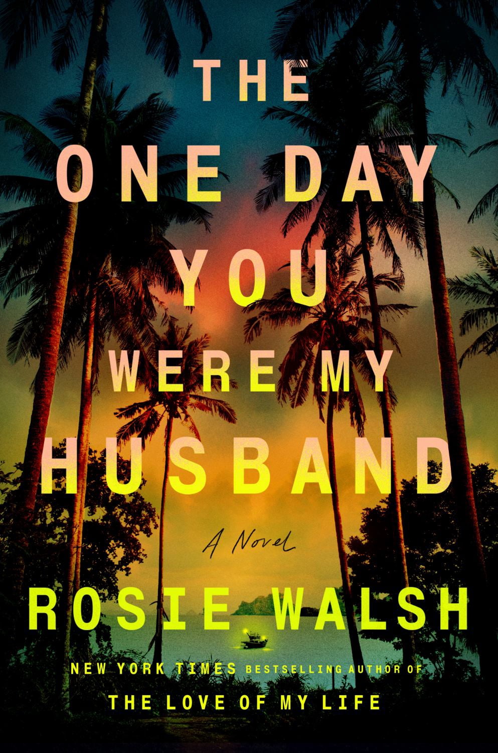 The One Day You Were My Husband: A Novel (Hardcover) - Walmart.com