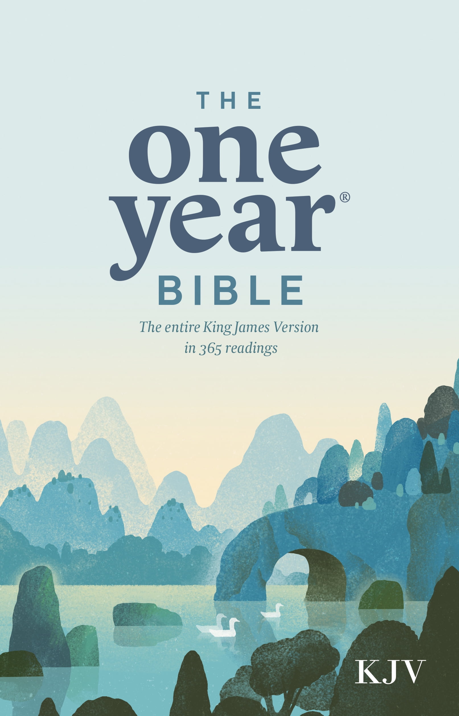 One Year Kjv - Walmart.com