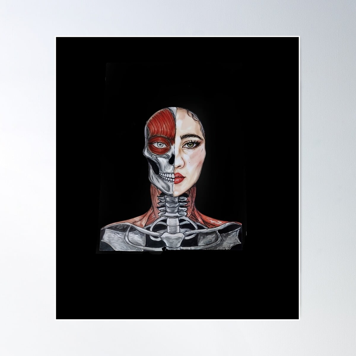 The Origin Of Humans Poster Wall Art, Modern Wall Decor For Living Room ...