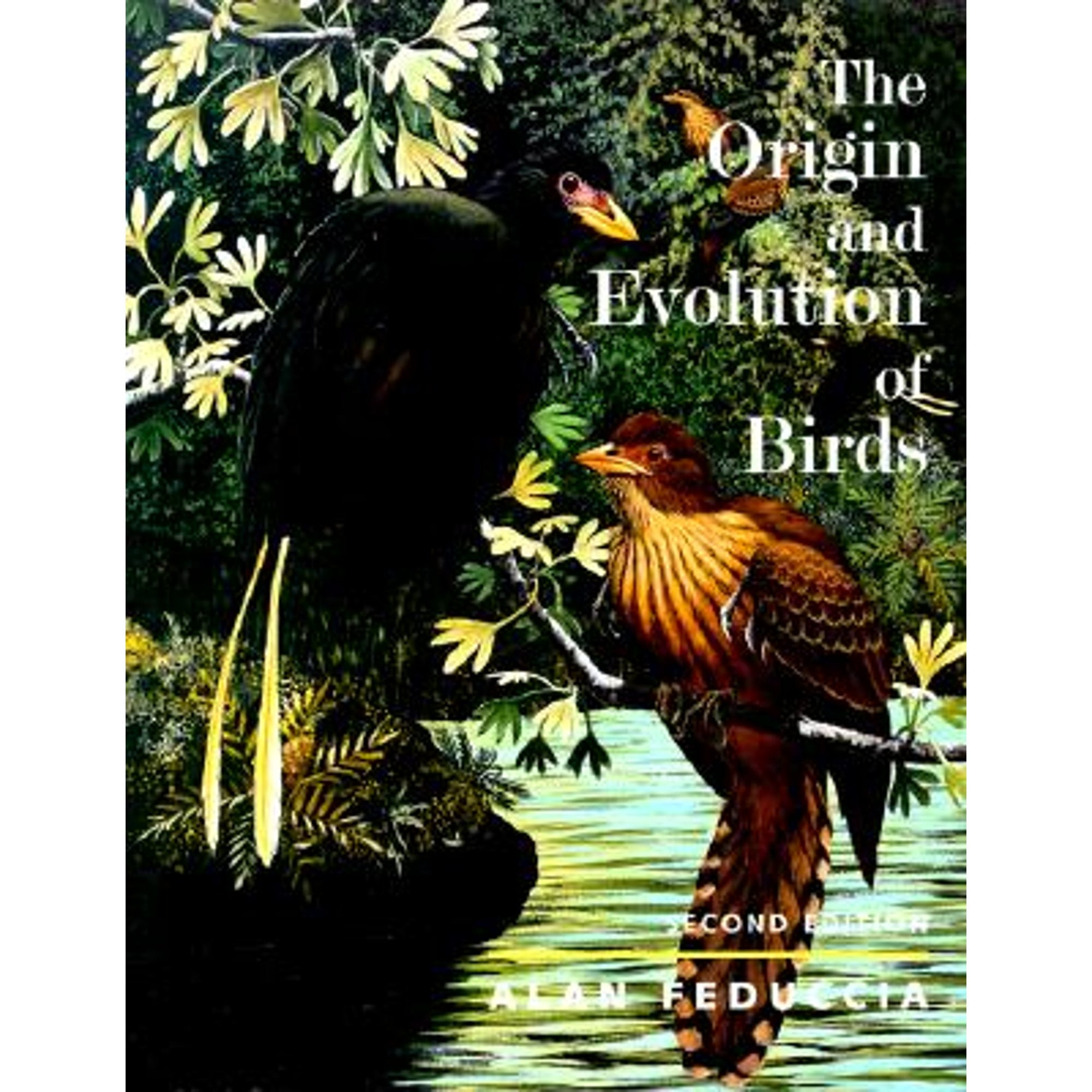 Pre-Owned The Origin and Evolution of Birds (Paperback) 0300078617 ...