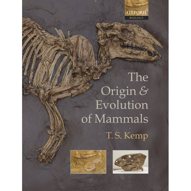 The Origin and Evolution of Mammals (Other) - Walmart.com