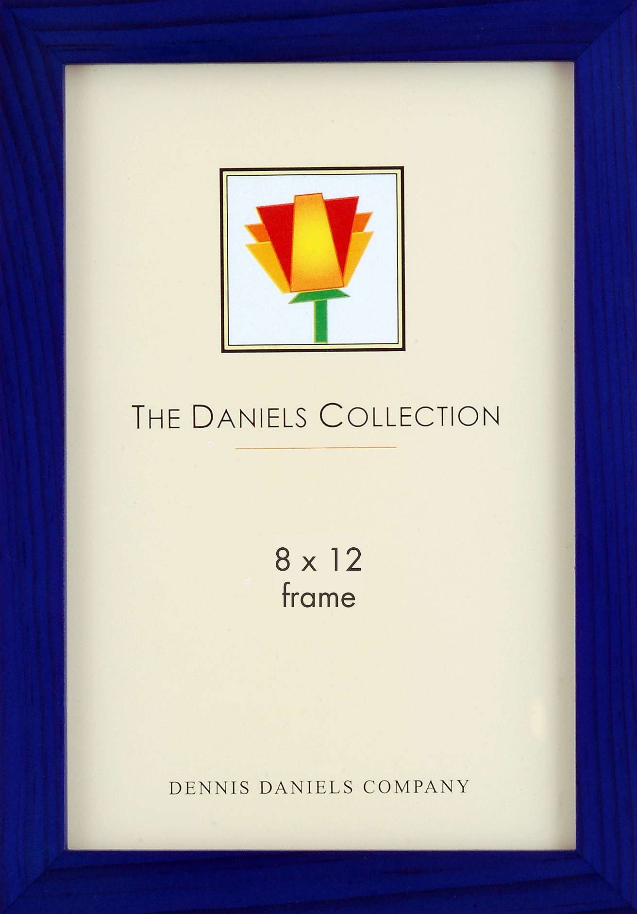 The Original DANIELS W41 GALLERY WOODS blue-stain finish 8x12 frame by ...