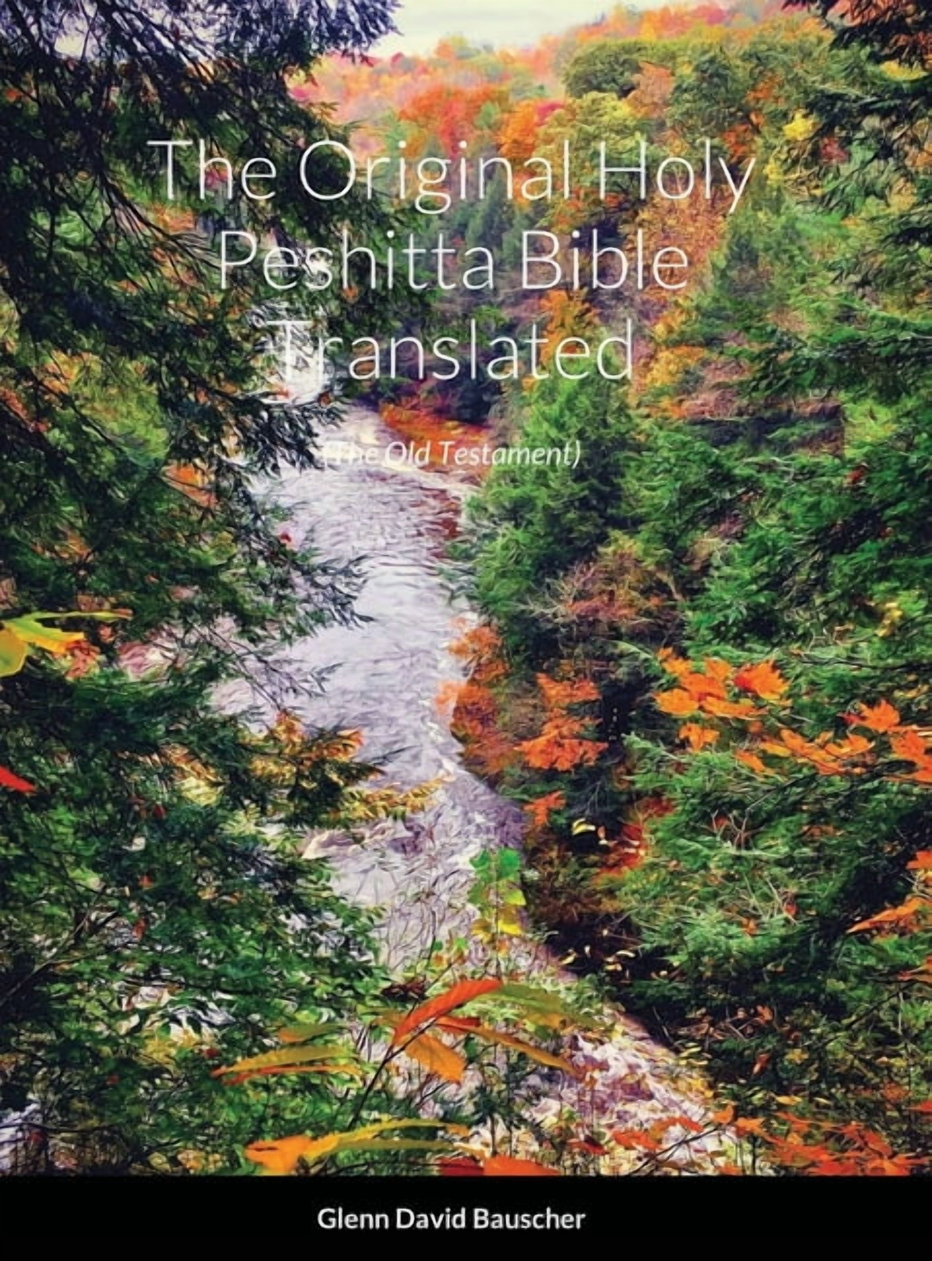 The Original Holy Peshitta Bible Translated, (Hardcover) - Walmart.com