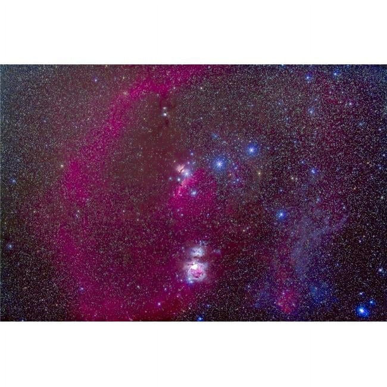 The Orion Nebula Belt of Orion Sword of Orion & Nebulosity Poster Print ...
