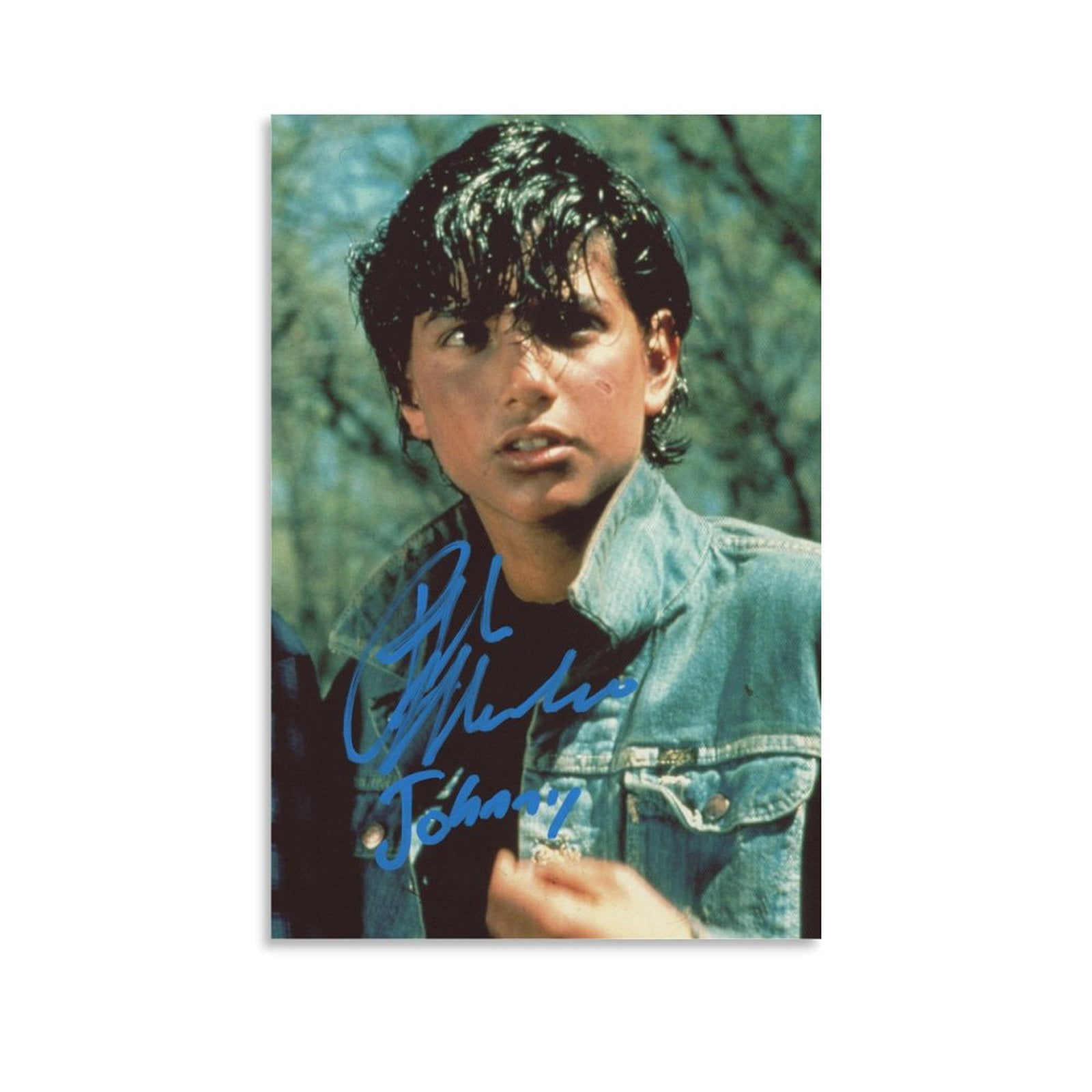 The Outsiders Movie Poster Ralph Macchio Poster Picture Print Canvas ...