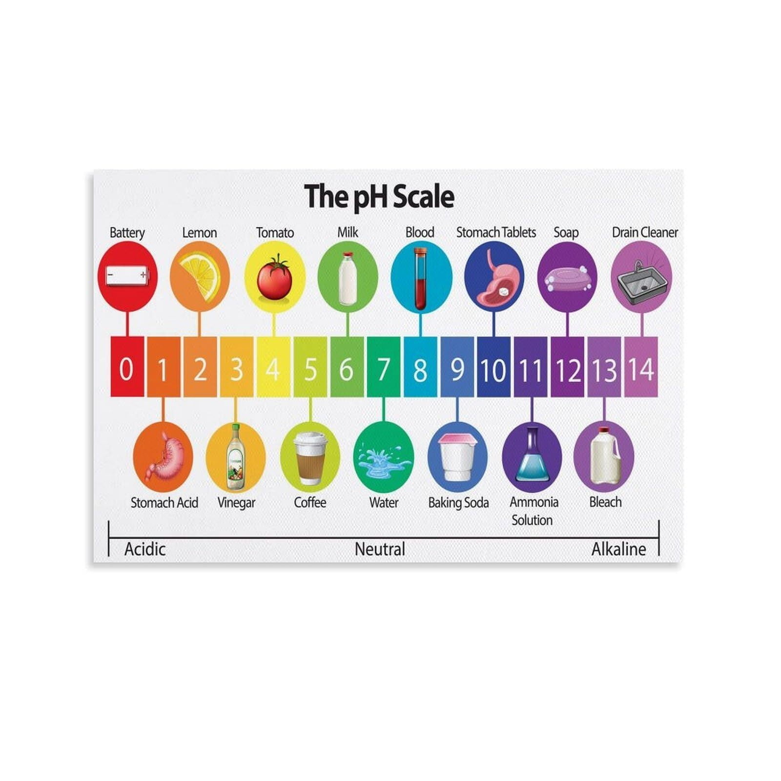 The PH Scale Education Poster Canvas Painting for Living Room Bedroom ...