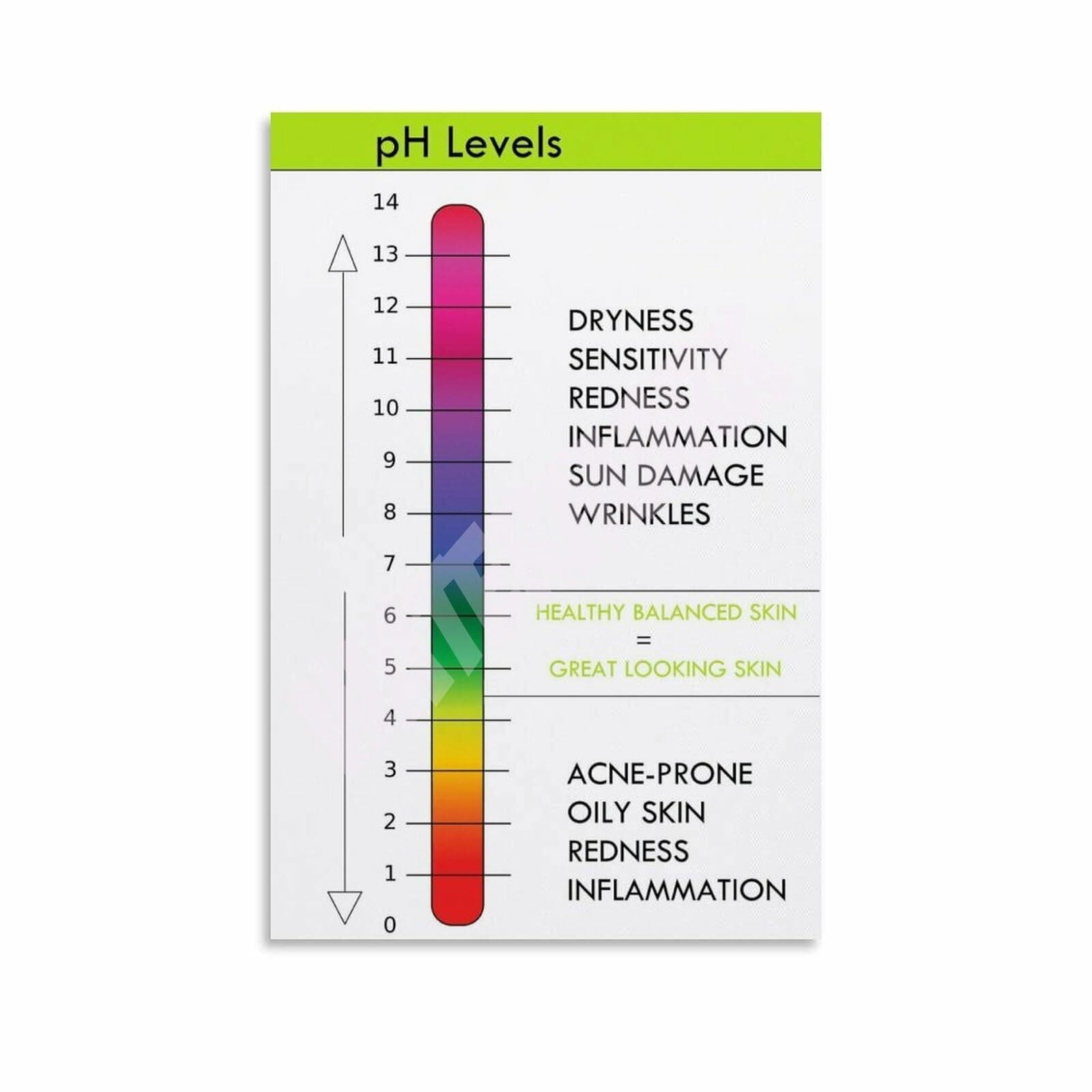 The PH Scale Generally Displays The PH Color Chart Poster Canvas ...