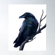 Paint Crow