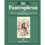 Wordpress All-In-One for Dummies (Paperback) - Walmart.com