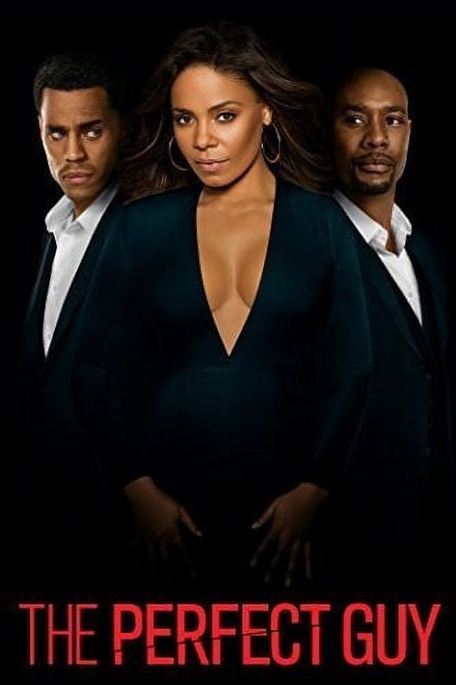 The Perfect Guy (DVD), Sony Pictures, Action & Adventure - Walmart.com