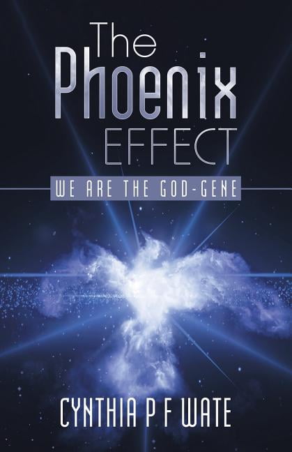 The Phoenix Effect (Paperback) - Walmart.com