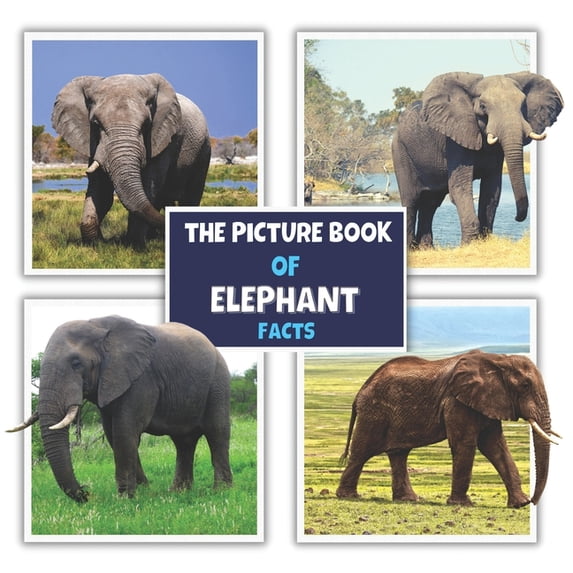 The Picture Book of Elephant Facts: A Fun and Informative Photos with ...