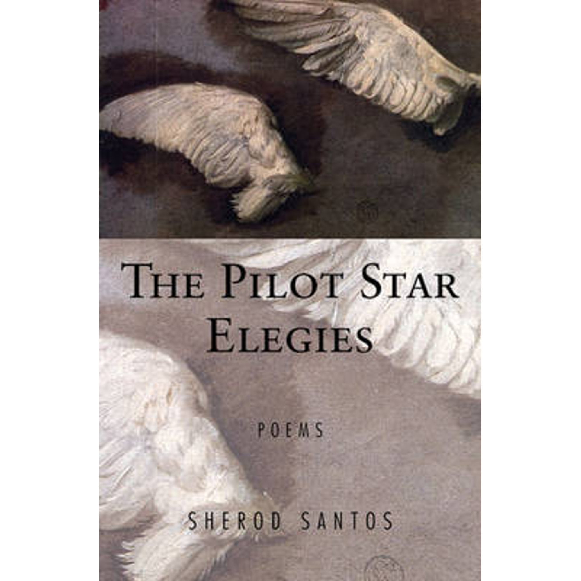 The Pilot Star Elegies (Hardcover) by Sherod Santos - Walmart.com