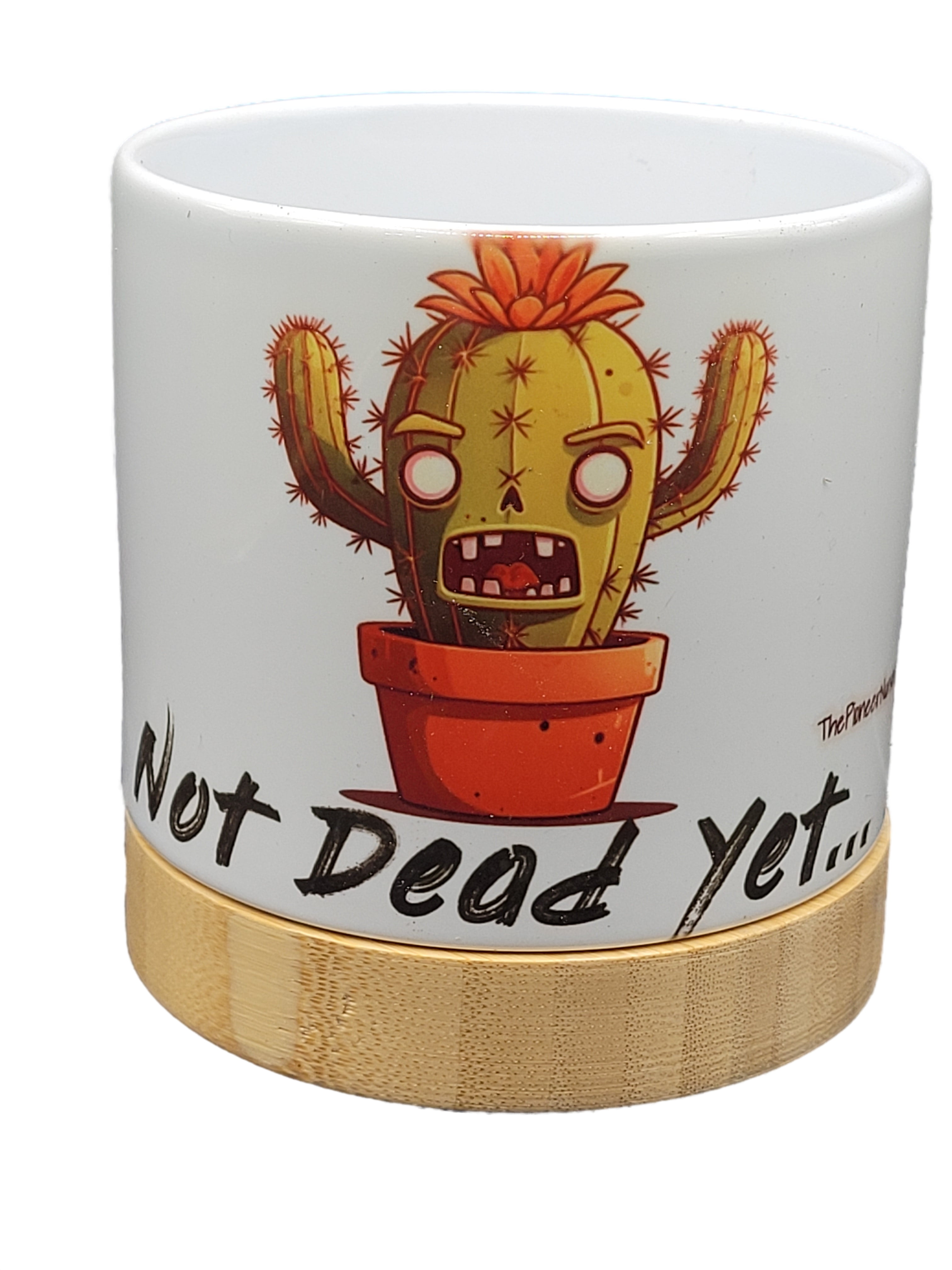 The Pioneer Nursery 4” Ceramic Planter Pot – “Not Dead Yet" Cactus ...
