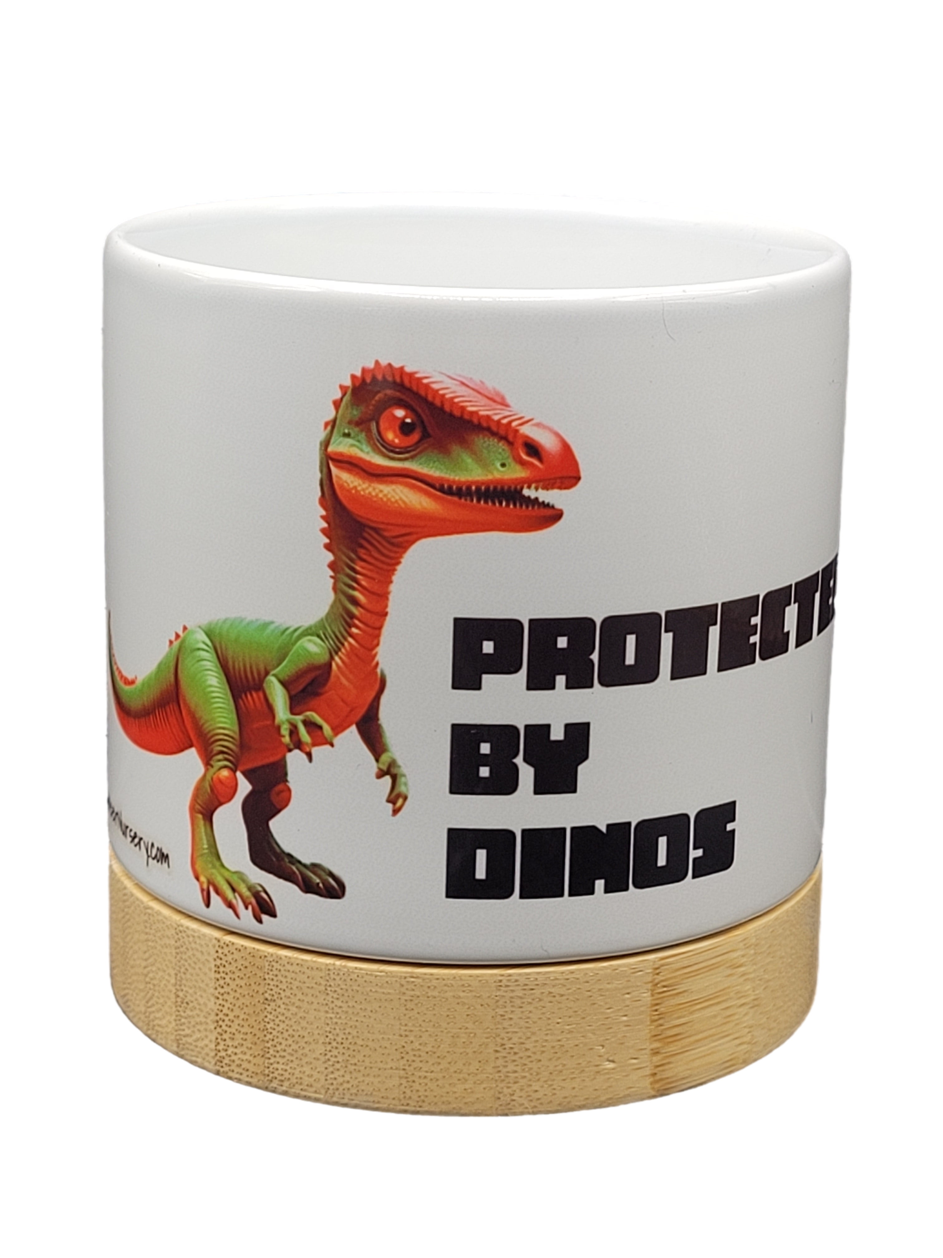 The Pioneer Nursery 4” Ceramic Planter Pot – “Protected By Dinos” Dino ...