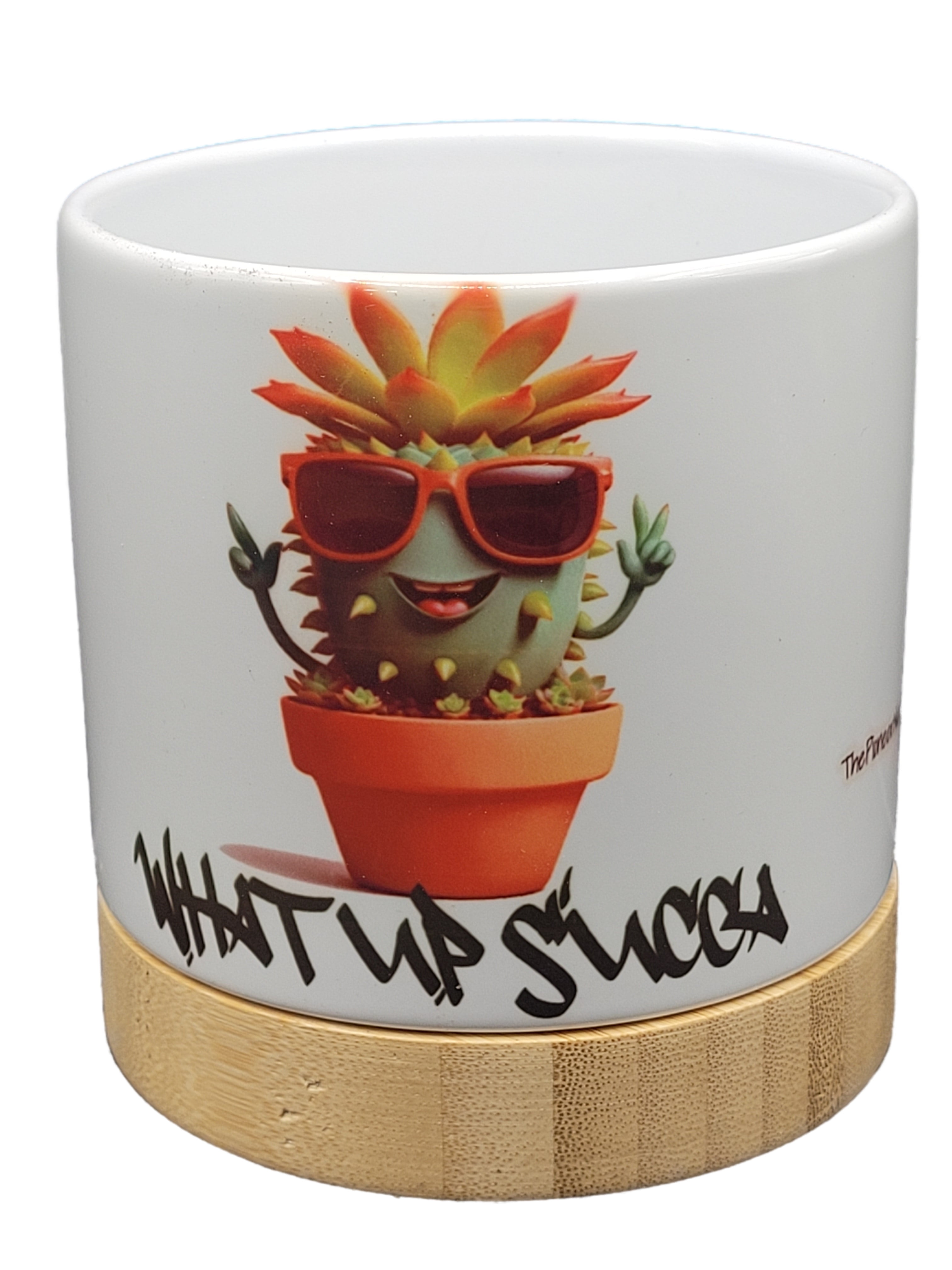 The Pioneer Nursery 4” Ceramic Planter Pot – “What Up Succa” Cactus ...