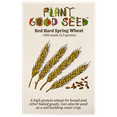 The Plant Good Seed Red Hard Spring Wheat Seeds - 200 Seeds ...