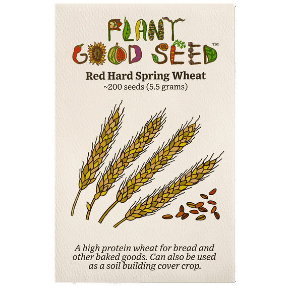 The Plant Good Seed Red Hard Spring Wheat Seeds - 200 Seeds ...
