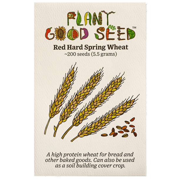 The Plant Good Seed Red Hard Spring Wheat Seeds - 200 Seeds ...