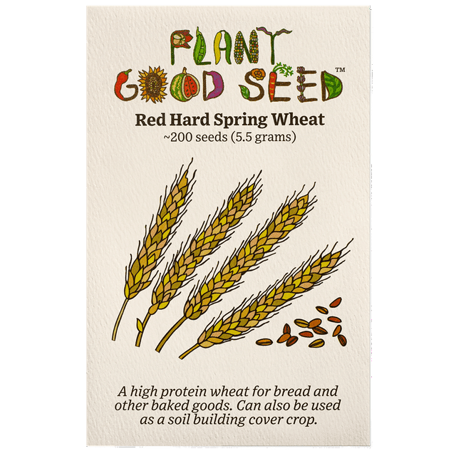 The Plant Good Seed Red Hard Spring Wheat Seeds - 200 Seeds ...