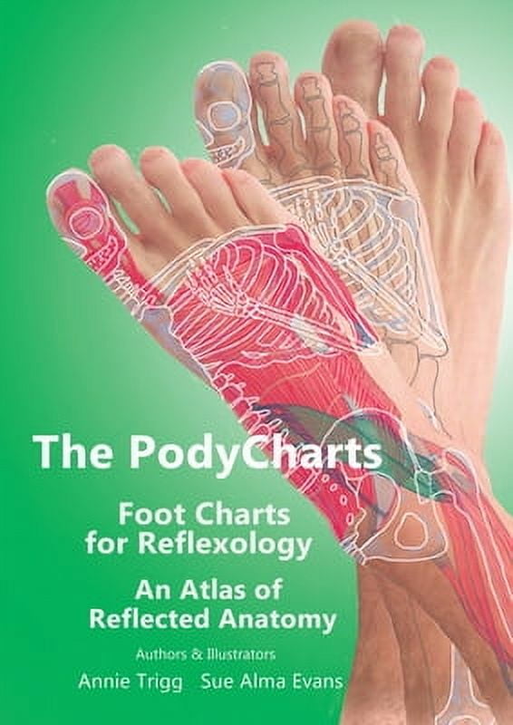 The PodyCharts Foot Charts for Reflexology: An atlas of reflected ...