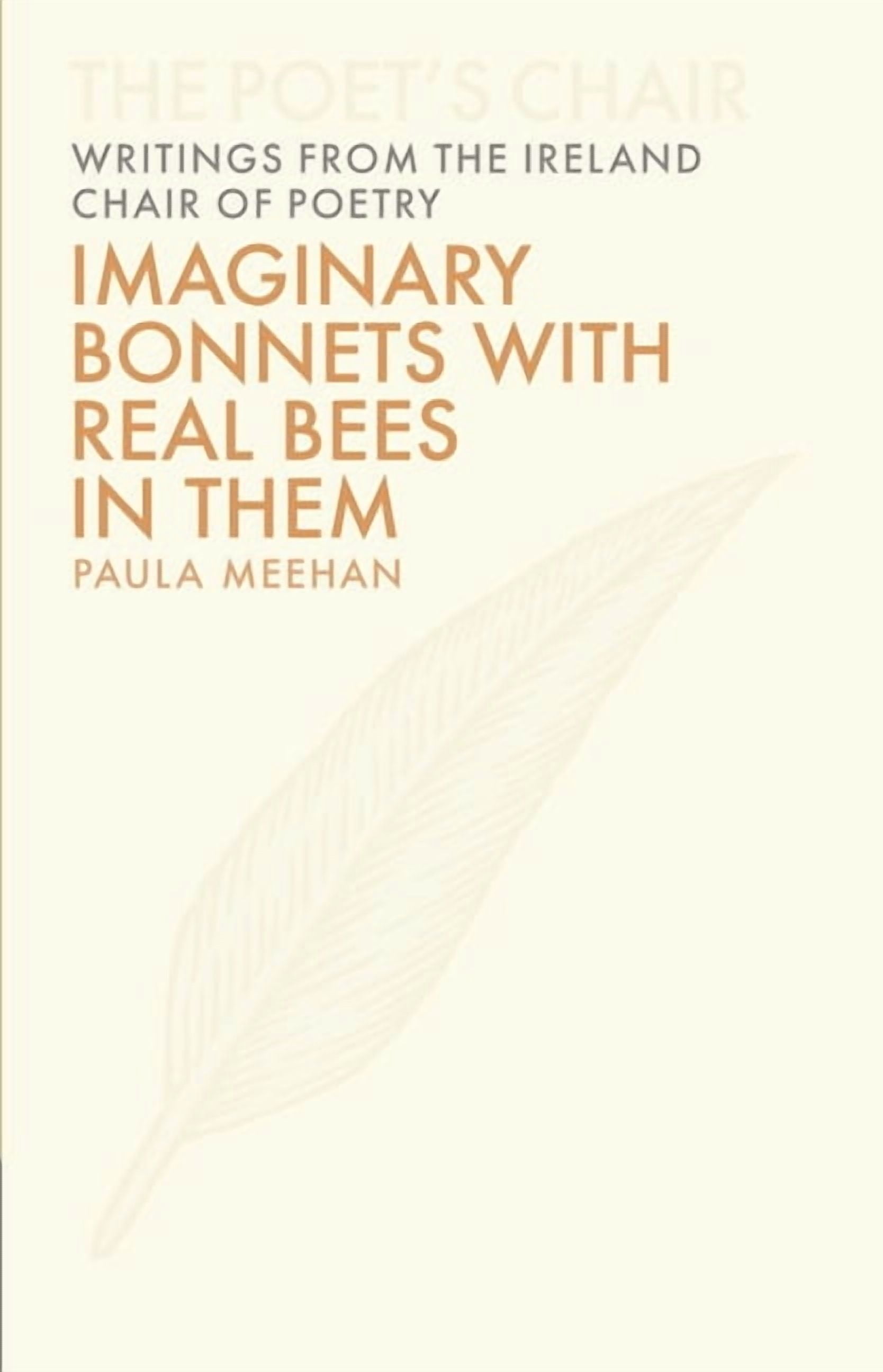 The Poet's Chair: Writings from the Ireland Chair of Poetry: Imaginary ...