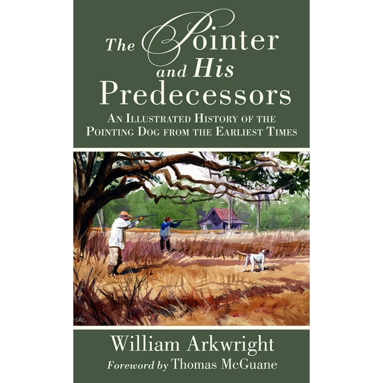 Arkwright Pointer