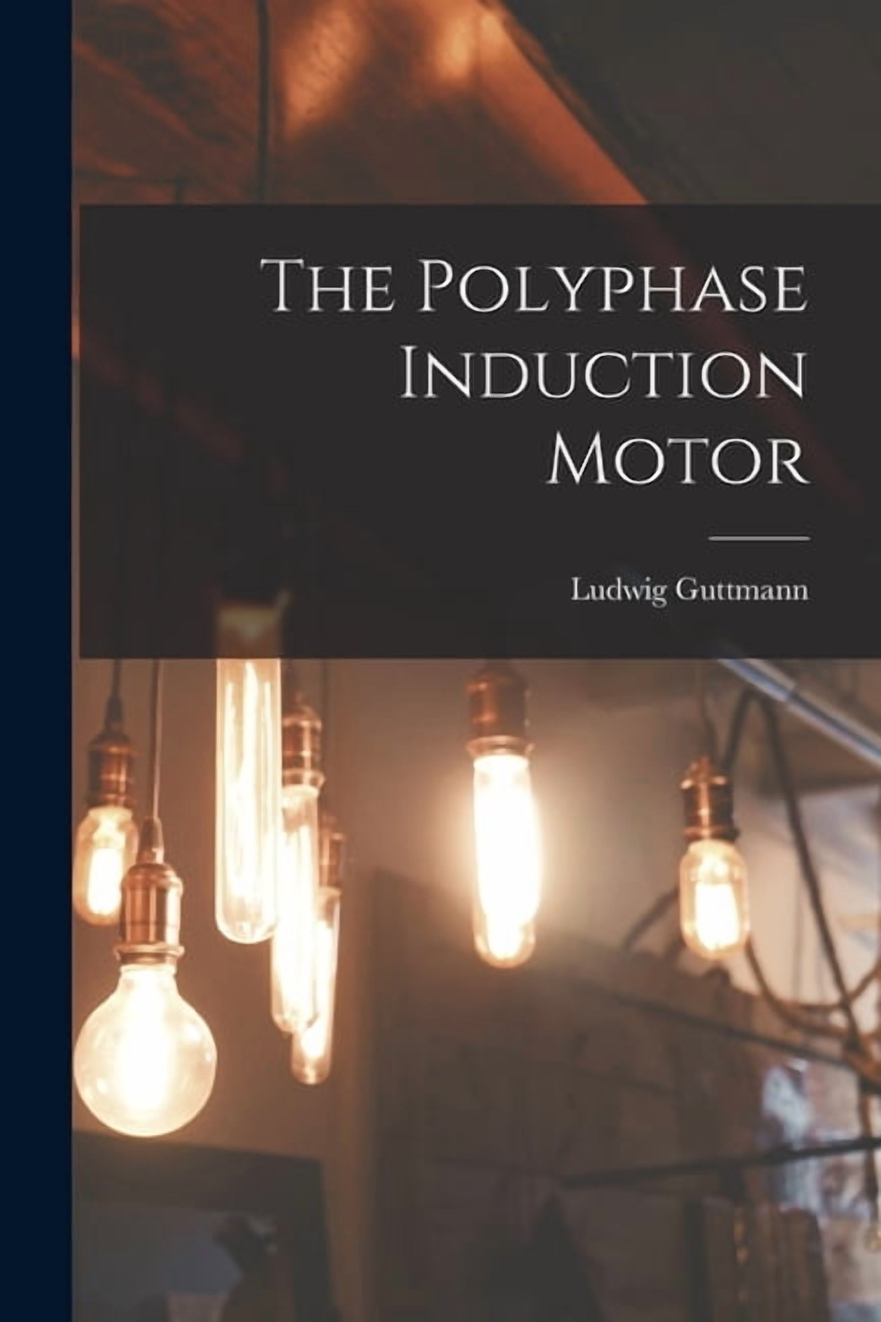 The Polyphase Induction Motor (Paperback) - Walmart.com
