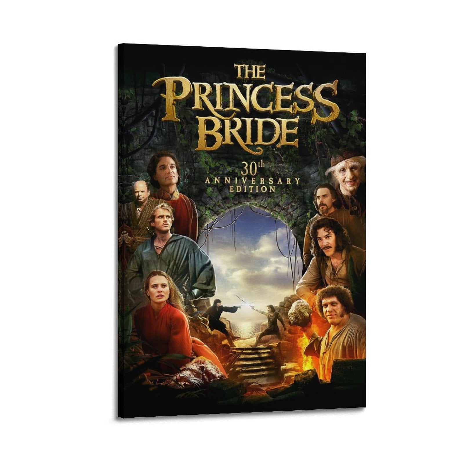 The Princess Bride 30th Anniversary Edition Movie Posters 1987 Romantic ...