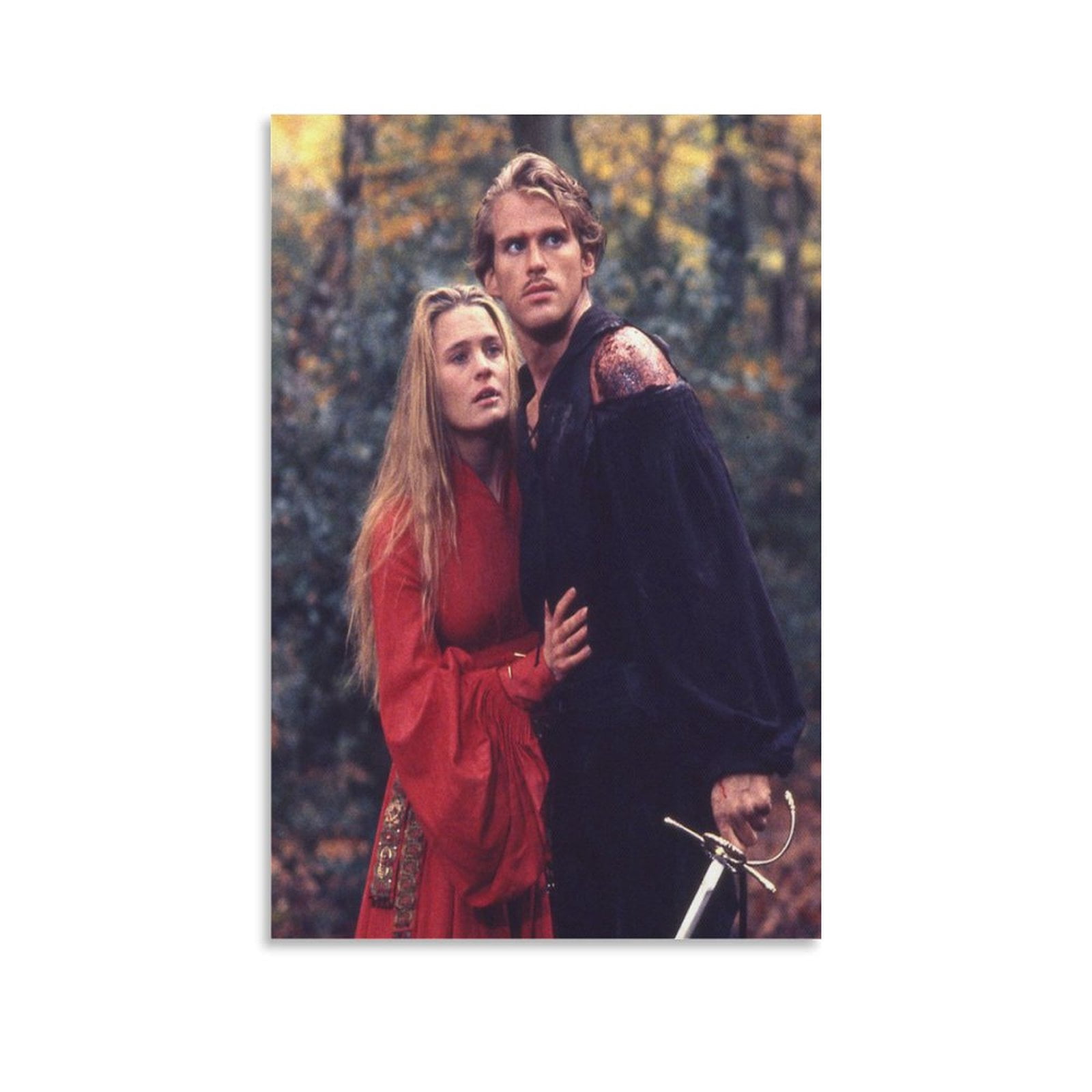 The Princess Bride Movie Poster (1) Canvas Art Poster and Wall Art ...