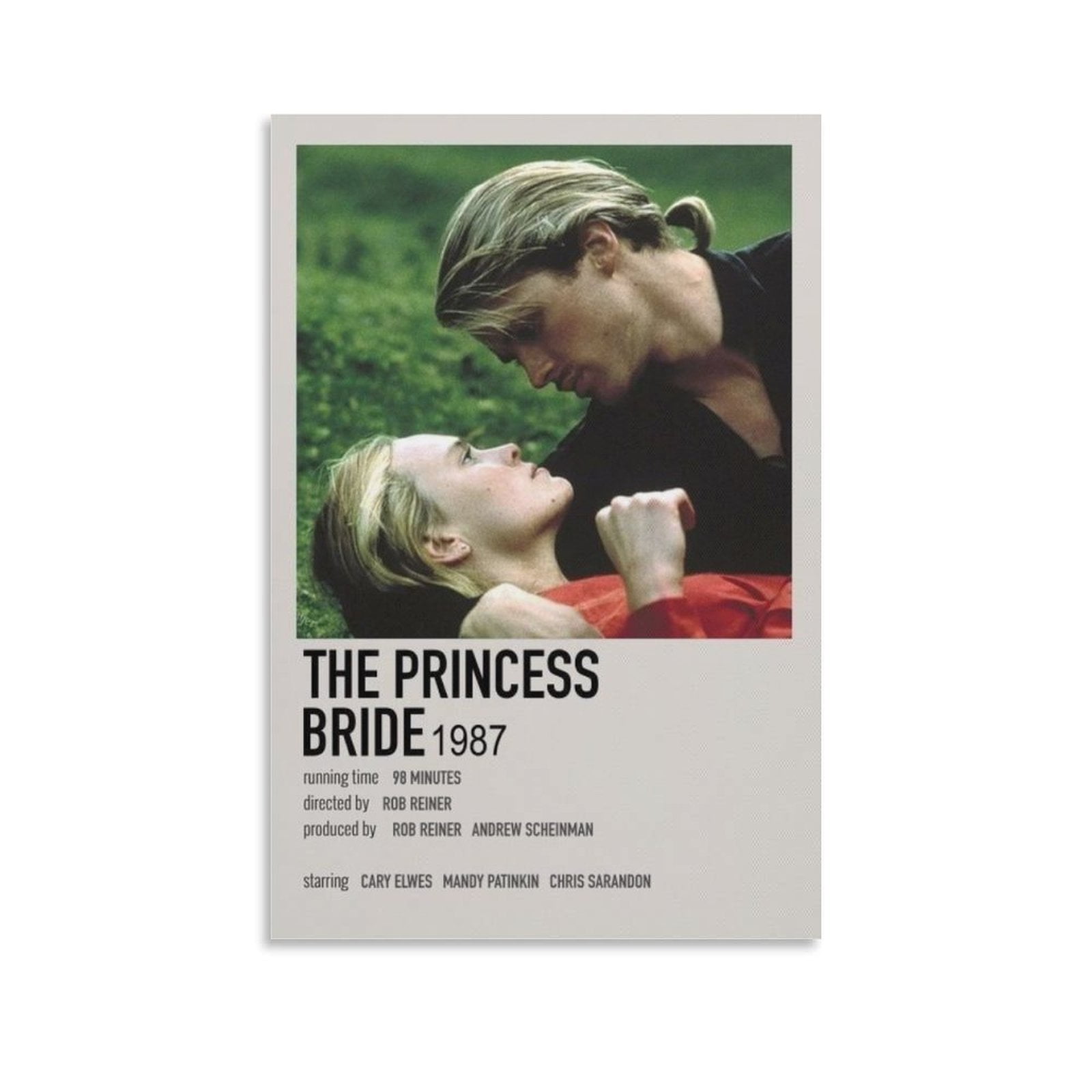 The Princess Bride Movie Poster (11) Posters Art Print Wall Photo Paint ...