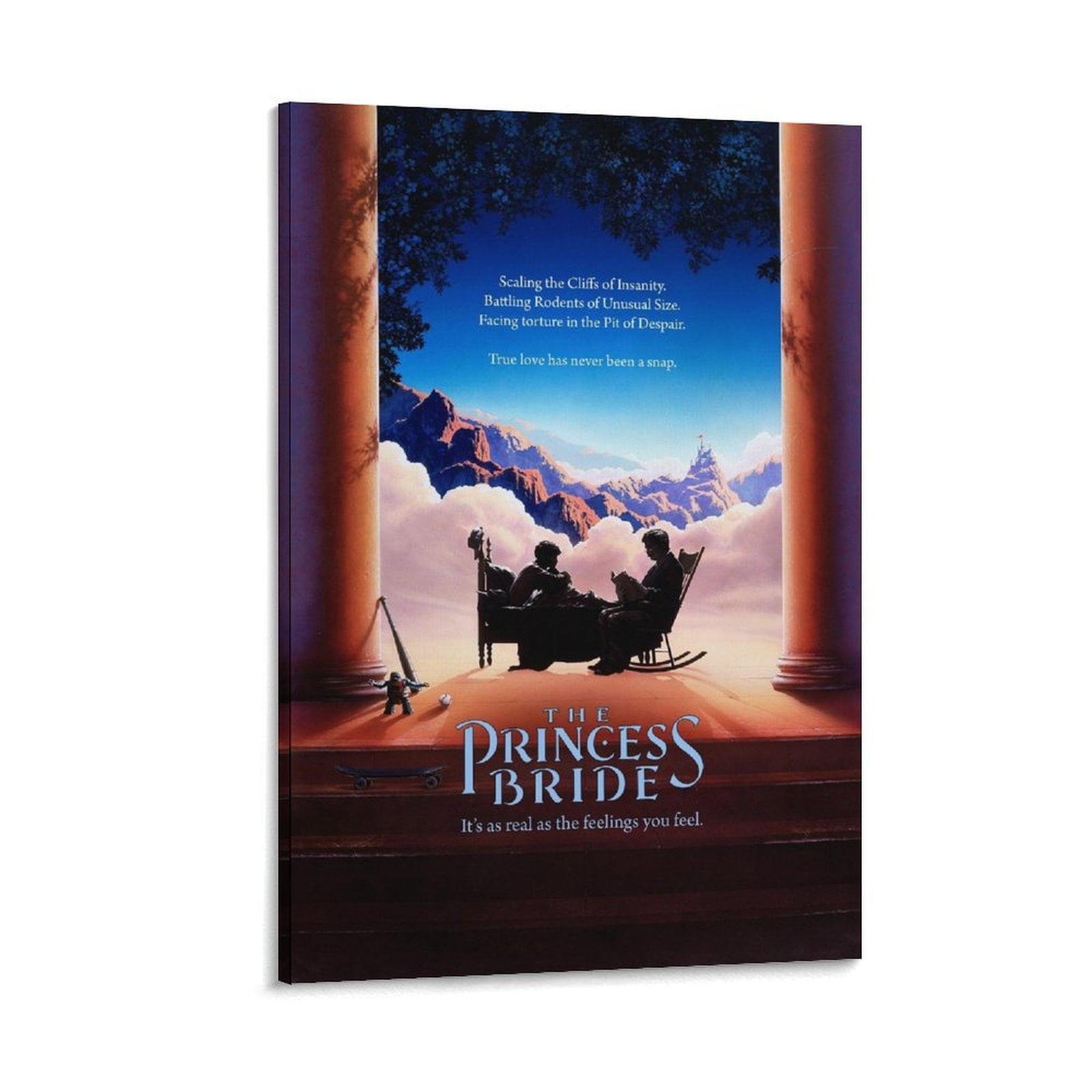 The Princess Bride Movie Poster (14) Canvas Poster Wall Art Picture ...