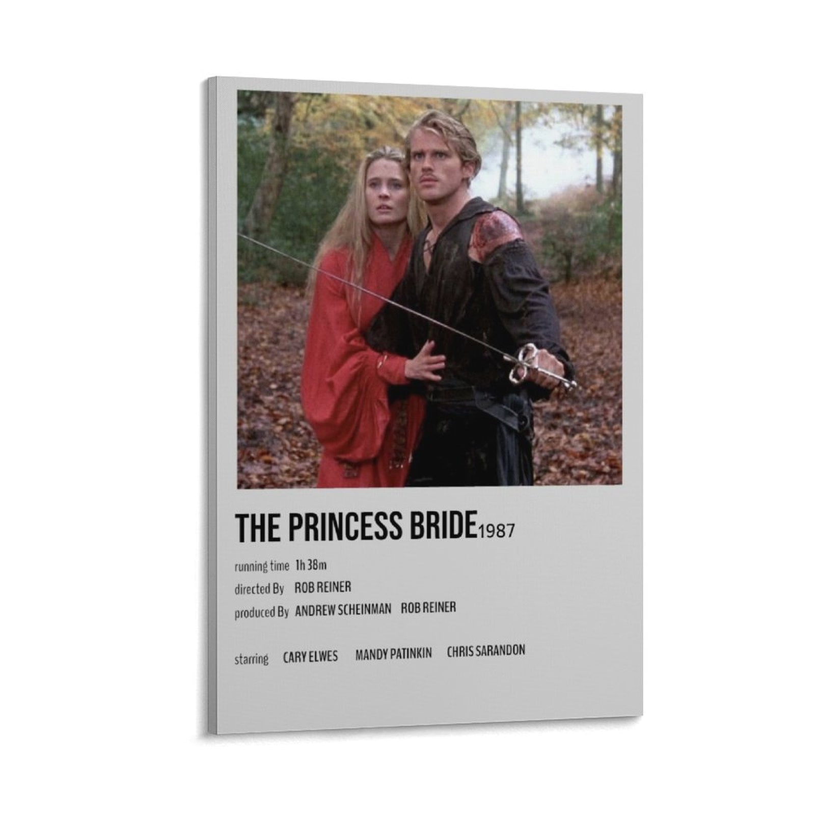 The Princess Bride Movie Poster (3) Posters Art Print Wall Photo Paint ...