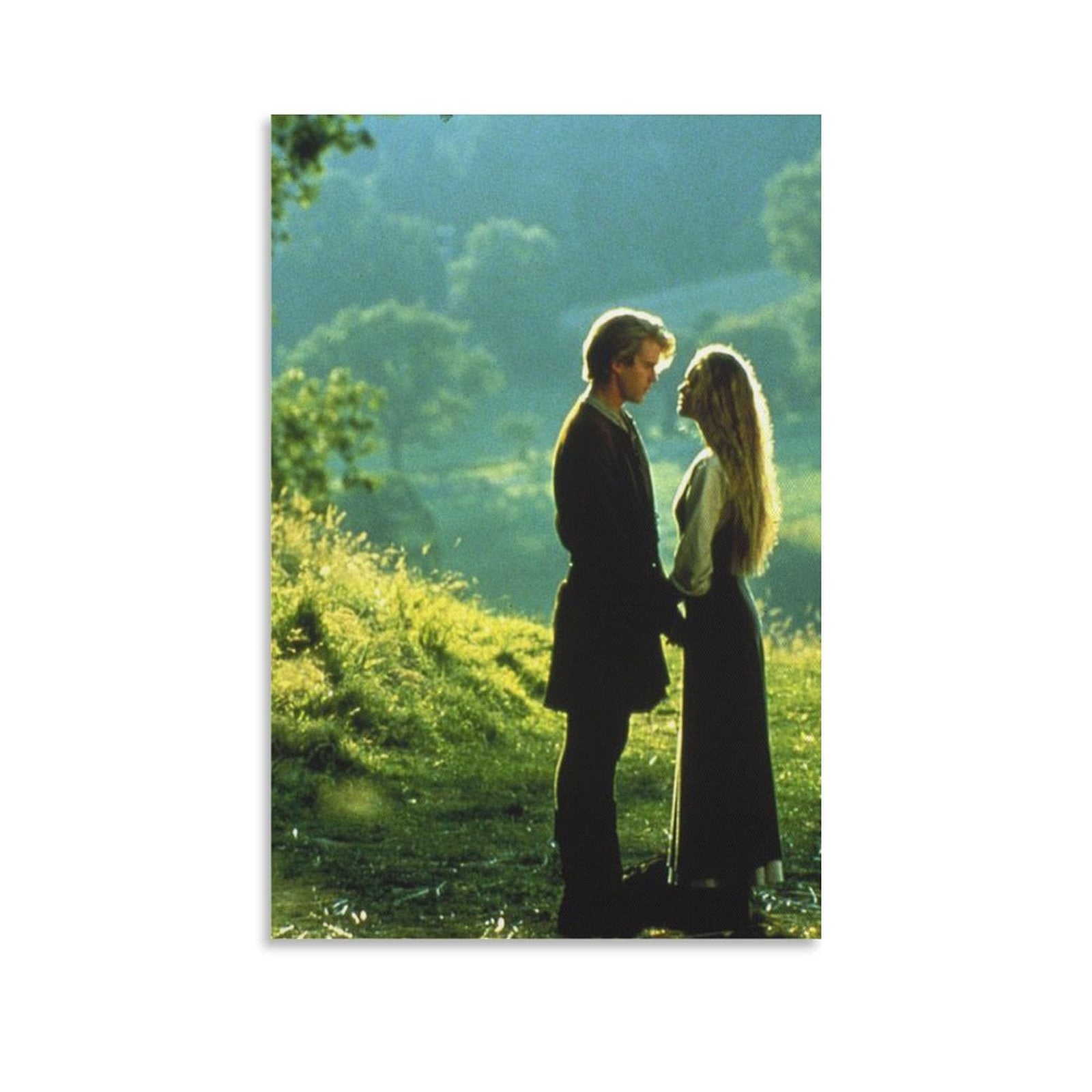 The Princess Bride Movie Poster (8) Artworks Picture Print Poster Wall ...