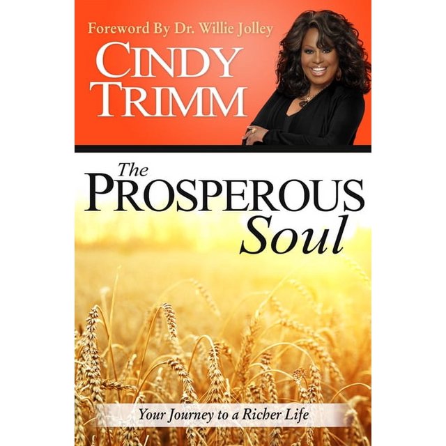 The Prosperous Soul : Your Journey to a Richer Life (Paperback ...