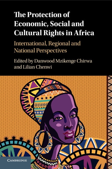 The Protection of Economic, Social and Cultural Rights in Africa ...
