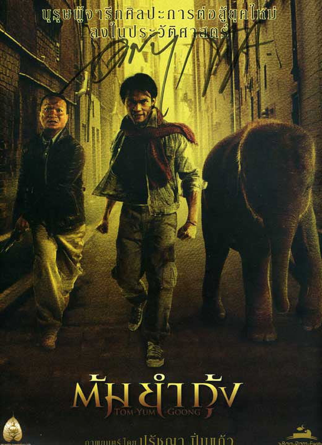 The Protector - movie POSTER (Style A) (11" x 17") (2005) - Walmart.com