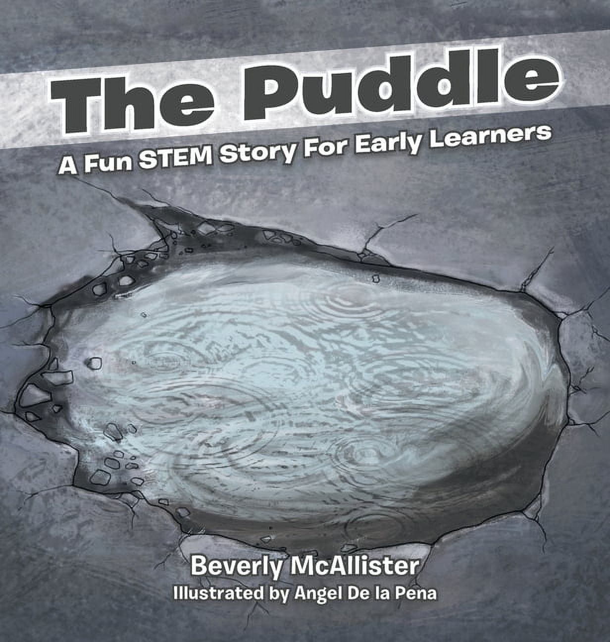 The Puddle: A Fun STEM Story For Early Learners, (Hardcover) - Walmart.com