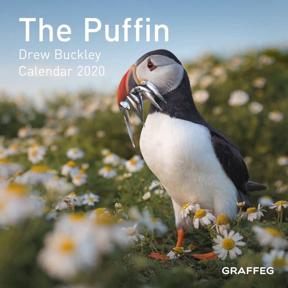 The Puffin Calendar 2020 (Calendar) - Walmart.com