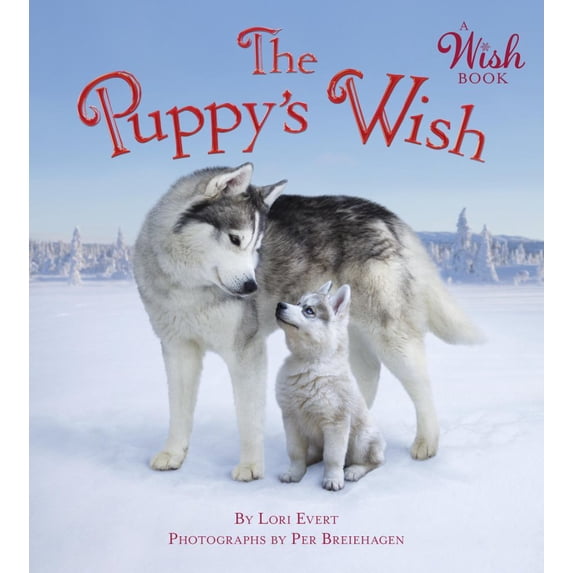 The Puppy's Wish (a Wish Book) (Board Book) - Walmart.com