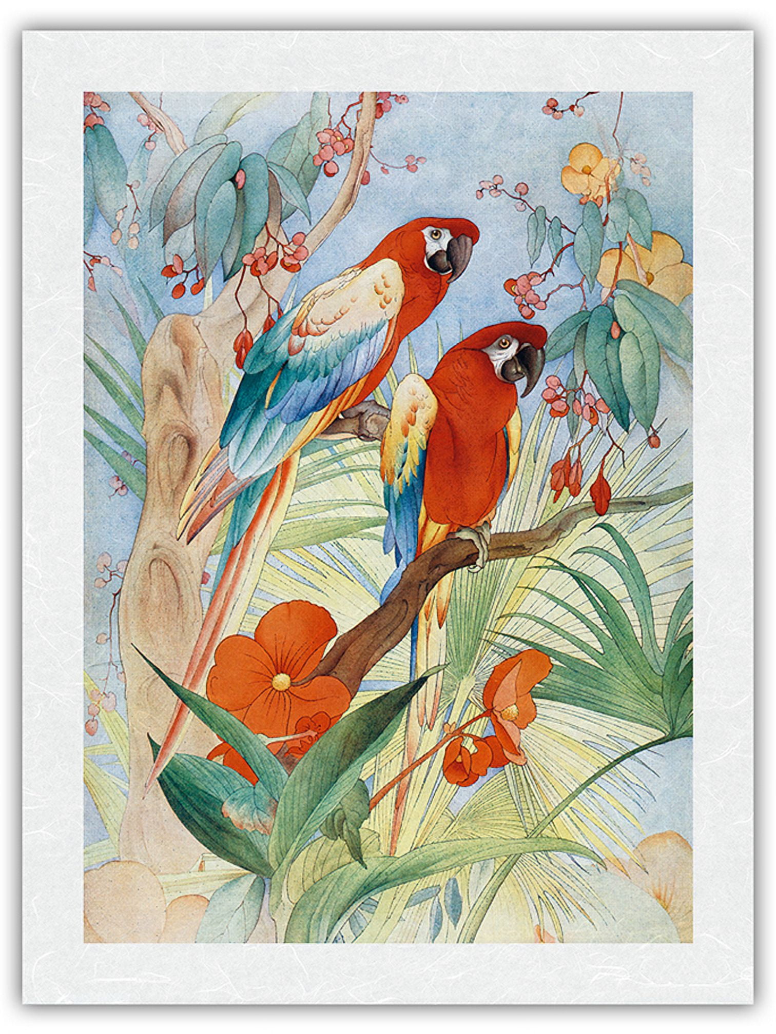 The Quaint Macaw - Red and Blue - “Aristocrats” - From an Original ...