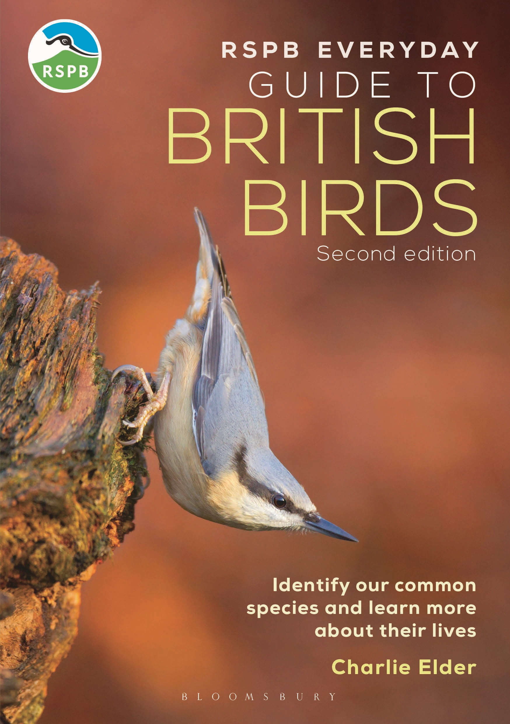 The RSPB Everyday Guide to British Birds : Identify our common species ...