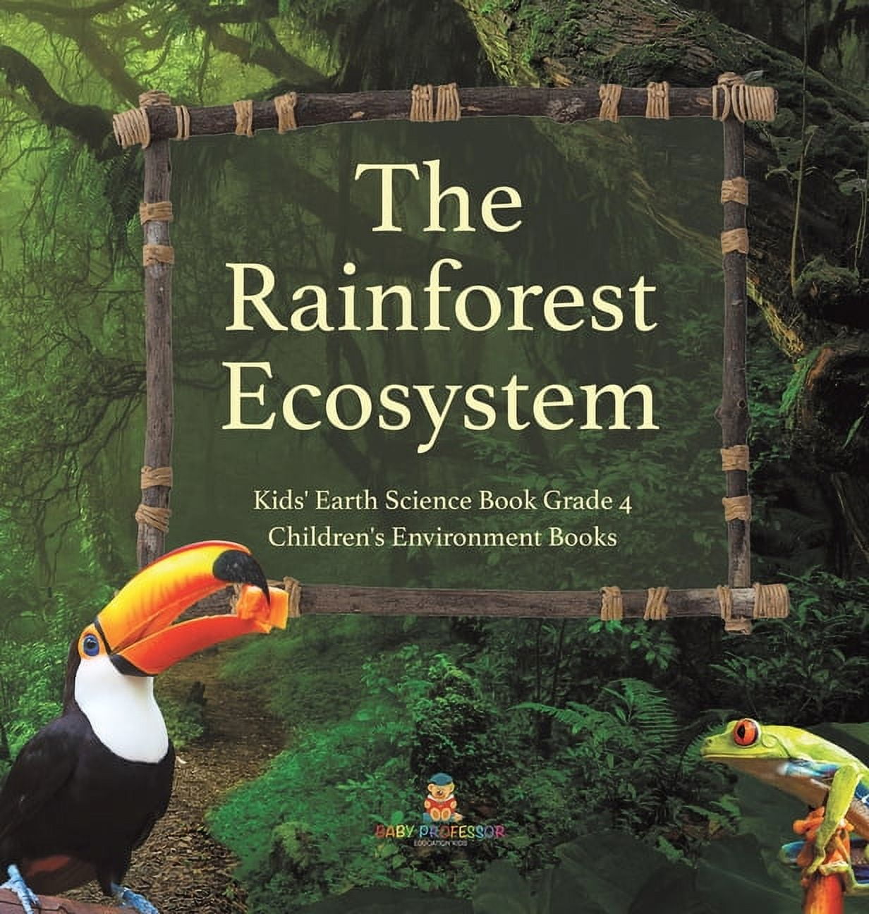Rain Forest Ecosystem