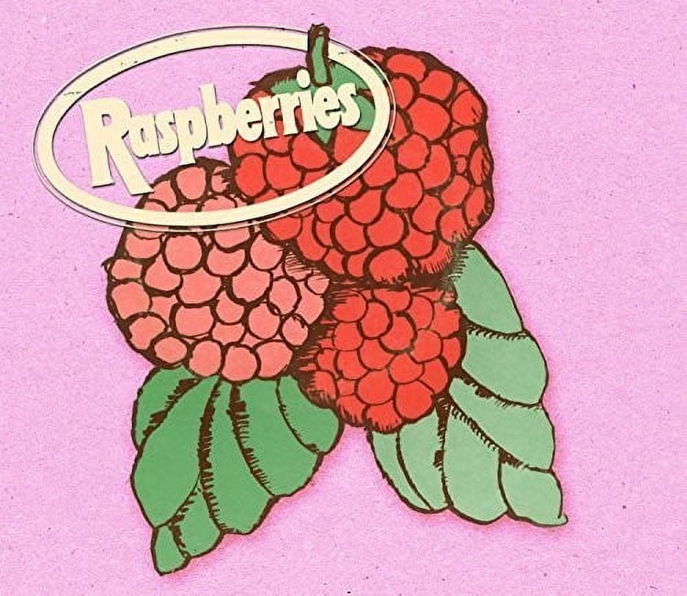 The Raspberries - Classic Album Box Set - Music & Performance - CD ...