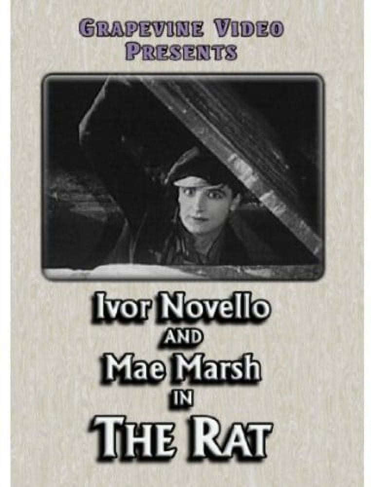 The Rat (DVD) - Walmart.com