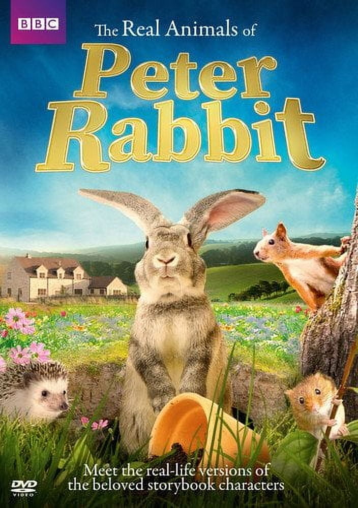 Real Animals of Peter Rabbit, The (4eps) (DVD) [DVD] - Walmart Business ...