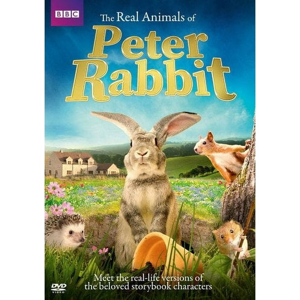 Real Animals of Peter Rabbit, The (4eps) (DVD) [DVD] - Walmart Business ...