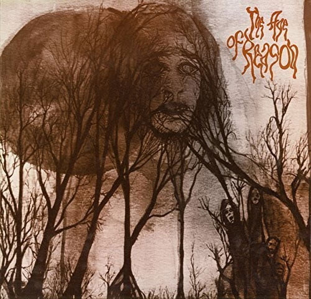 The Reason - Age of Reason - Music & Performance - CD - Walmart.com