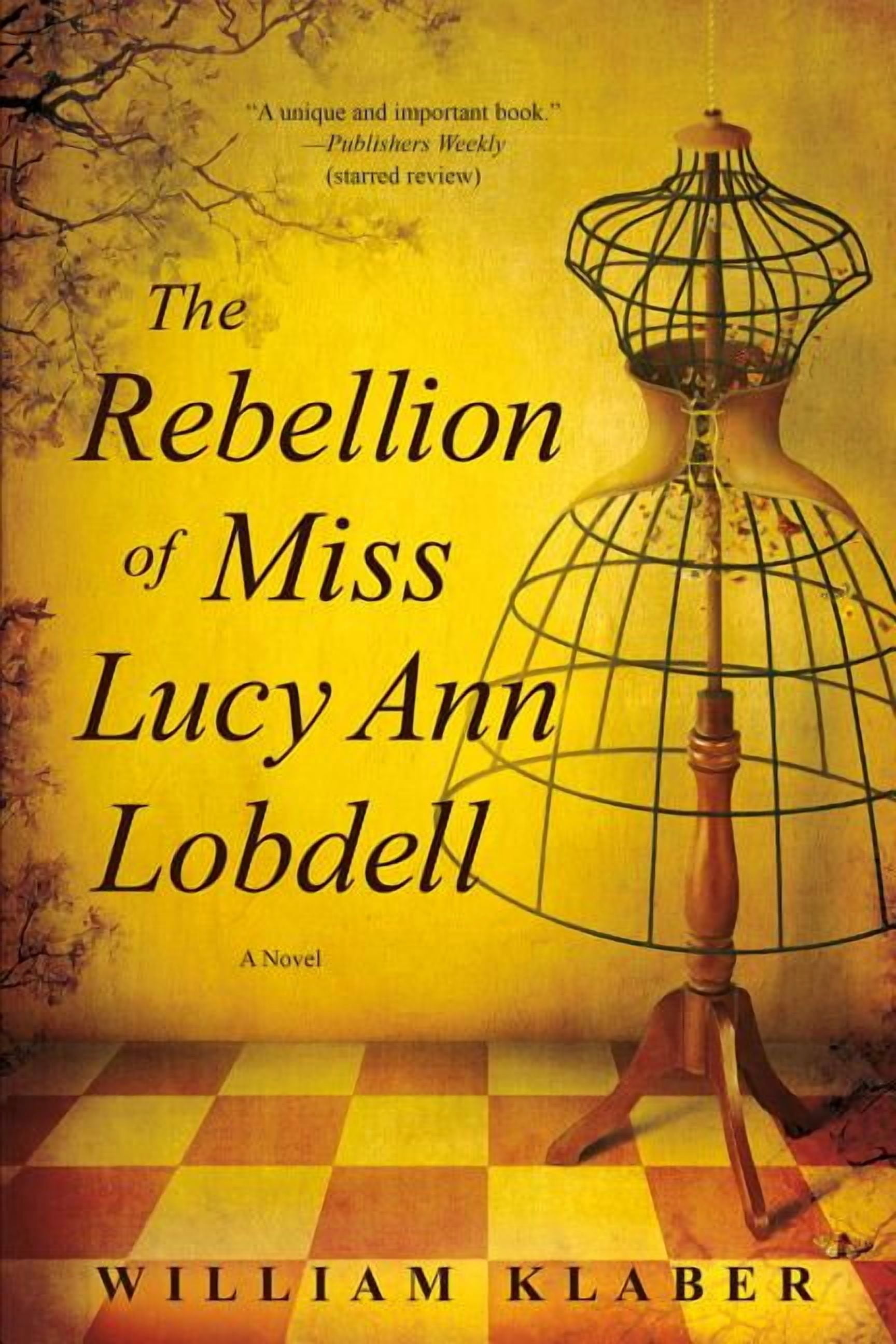 The Rebellion of Miss Lucy Ann Lobdell : A Novel (Paperback) - Walmart.com
